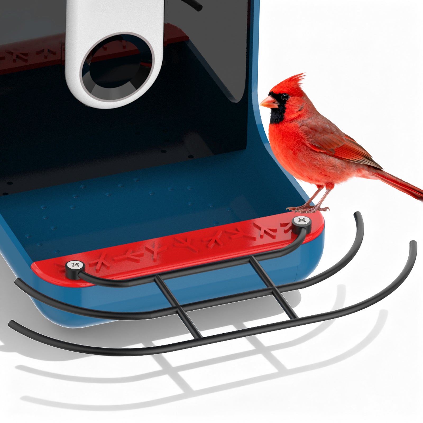 Metal Perch for Bird Buddy Smart Bird Feeder – Nakucholy